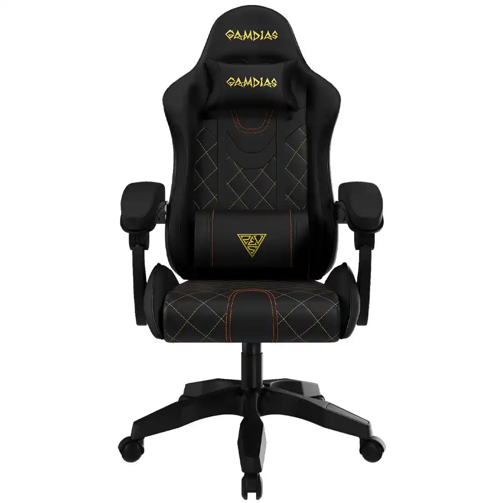 Gamdias Gaming stolica Gamdias Zelus E2 crna | Coral Computers